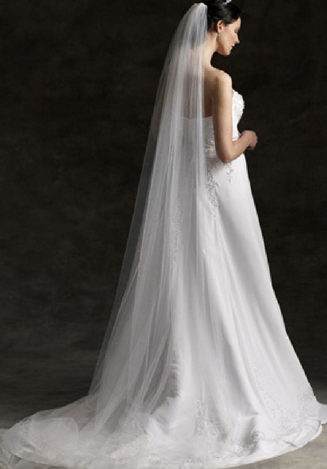 Signature Simple Tulle Chapel & Cathedral Length Veil With Raw Edge VG ...